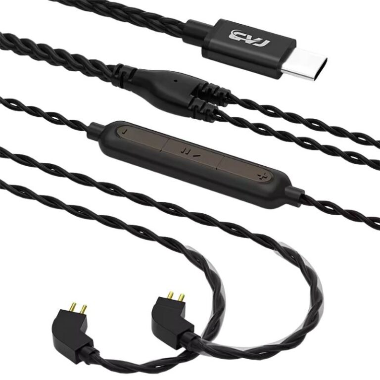 JBL Tune 310C Type C Hi-Res Earphone with Mic: Unveiled